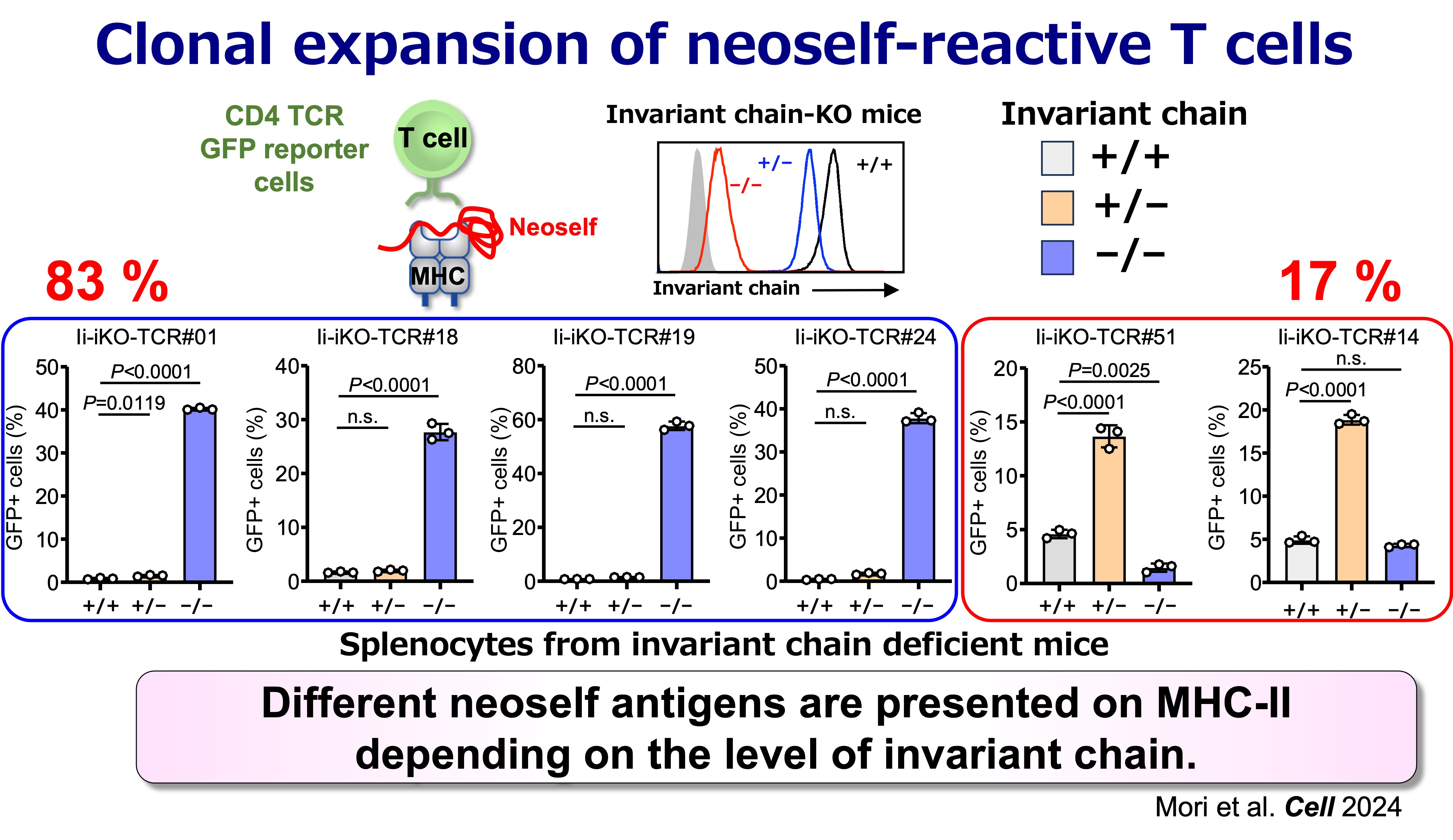 Autoimmunity through neoself antigen presentation by MHC class II